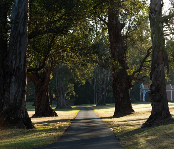 Quem somos - Vinícola Biagi