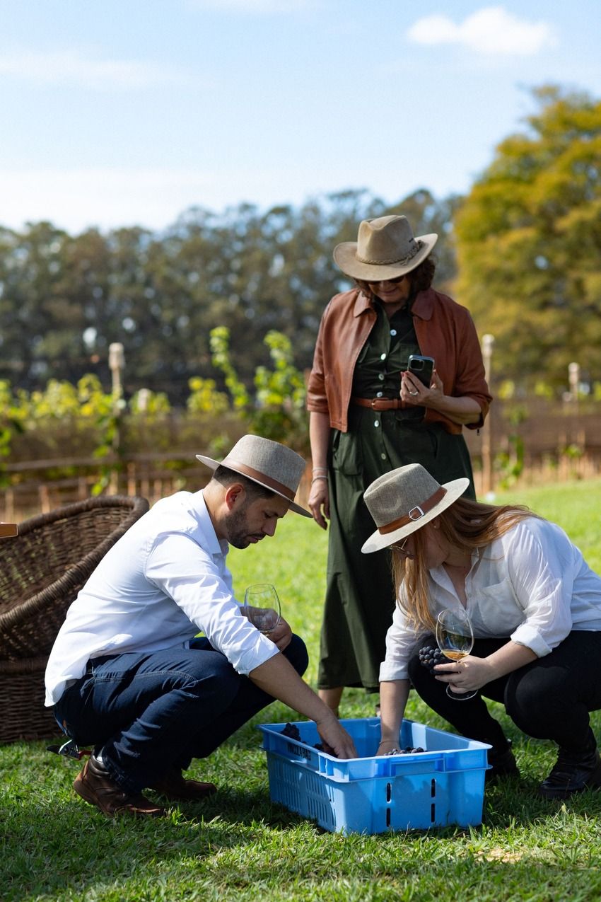 Quem somos - Vinícola Biagi